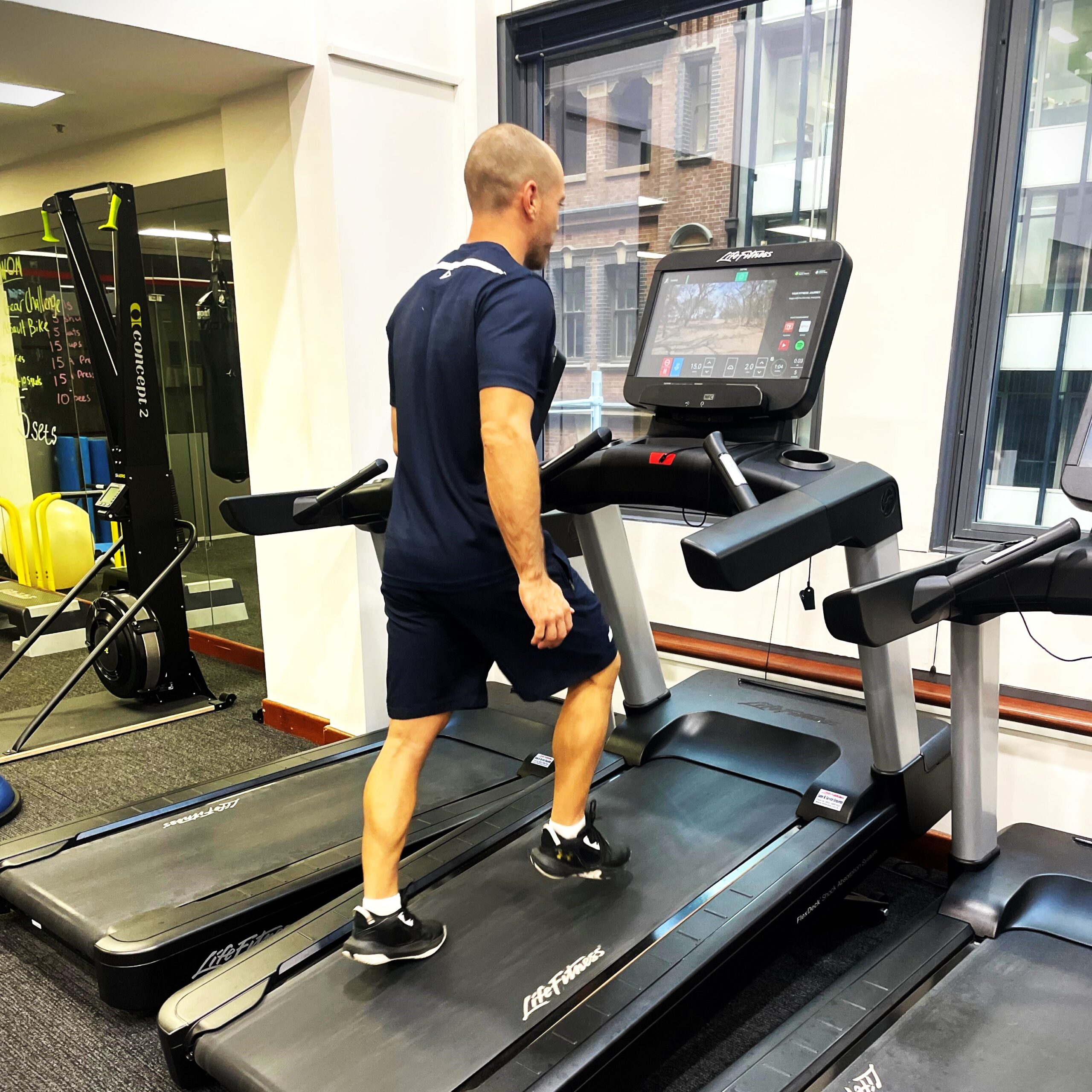Discover the benefits of the treadmill Sandhill Simulator - Tattersalls ...